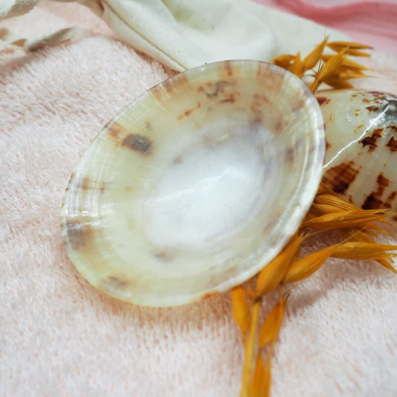 Pourquoi utiliser des coquillages d'allaitement ? – babig.fr